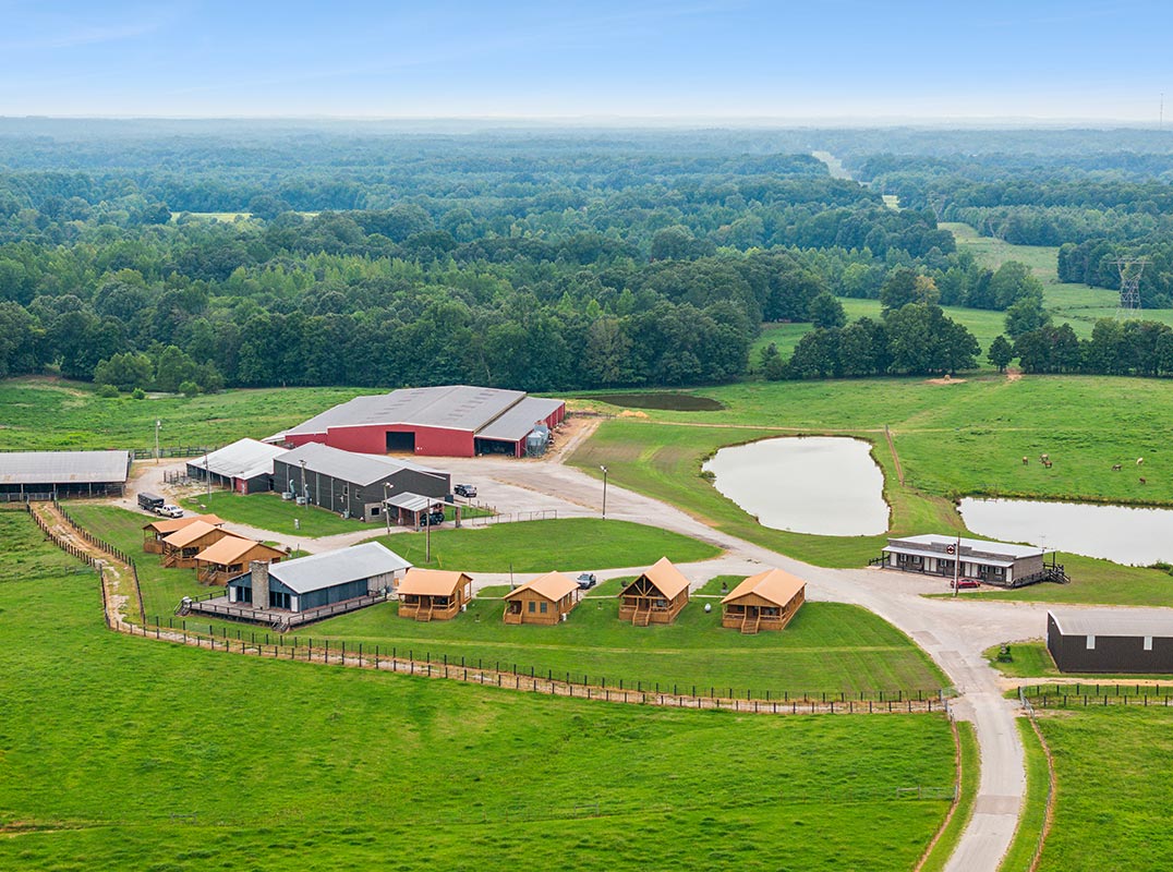 LHM Nashville - Black Angus Commercial Cattle Ranch On 564 Acres